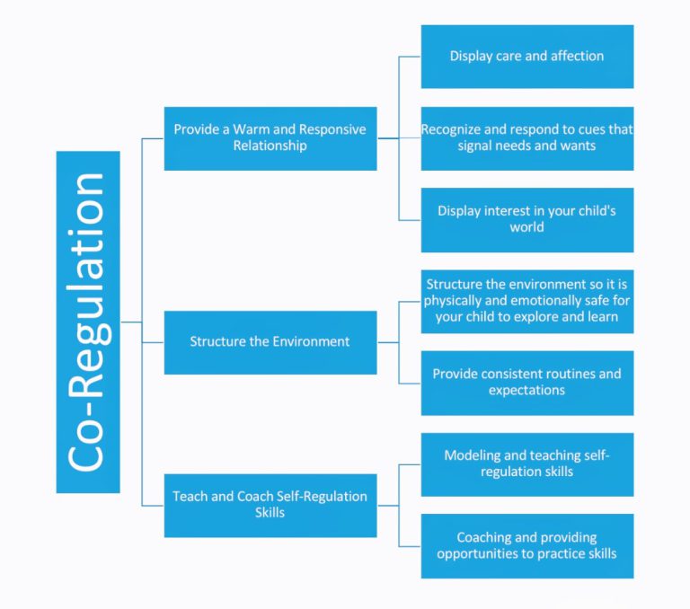 Co-Regulation as a Tool for Fostering the Development of Self ...